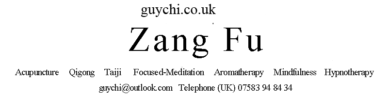 zang fu traditional Chinese medicine